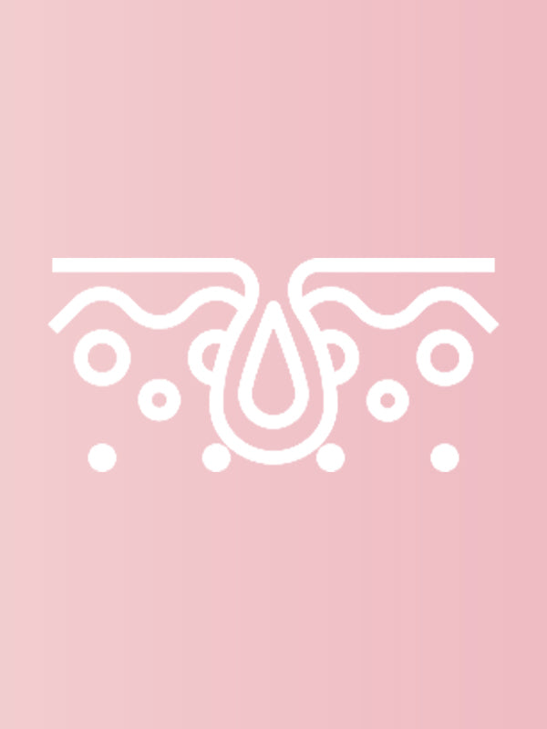 Pores & sebum – ANAIRUI